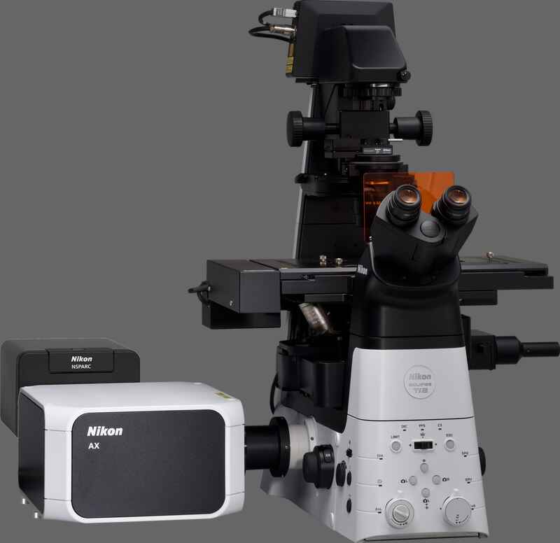 A1 HD25 / A1R HD25 | Confocal and Multiphoton Microscopes | Microscope ...