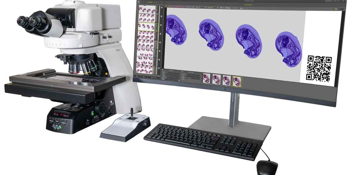NIS-Elements Slide Scanning Module | Slide Scanning | Microscope Products | Nikon Europe B.V.