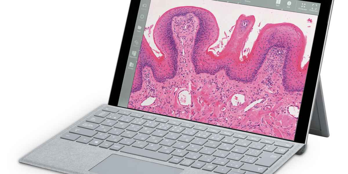 NIS-Elements LE | Cameras | Microscope Products | Nikon Instruments Inc.