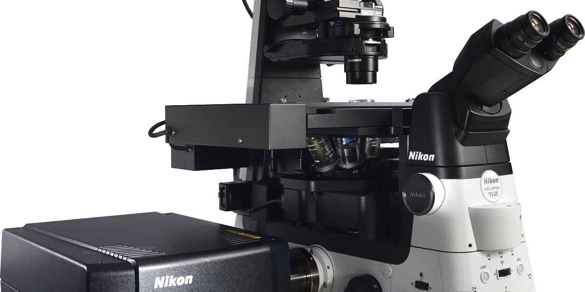 A1 HD25 / A1R HD25 | Confocal and Multiphoton Microscopes | Microscope ...