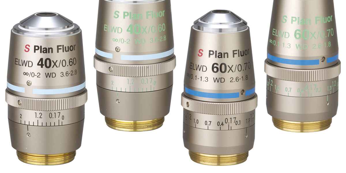 S Plan Fluor ELWD Series | Optics | Microscope Products | Nikon Instruments Inc.