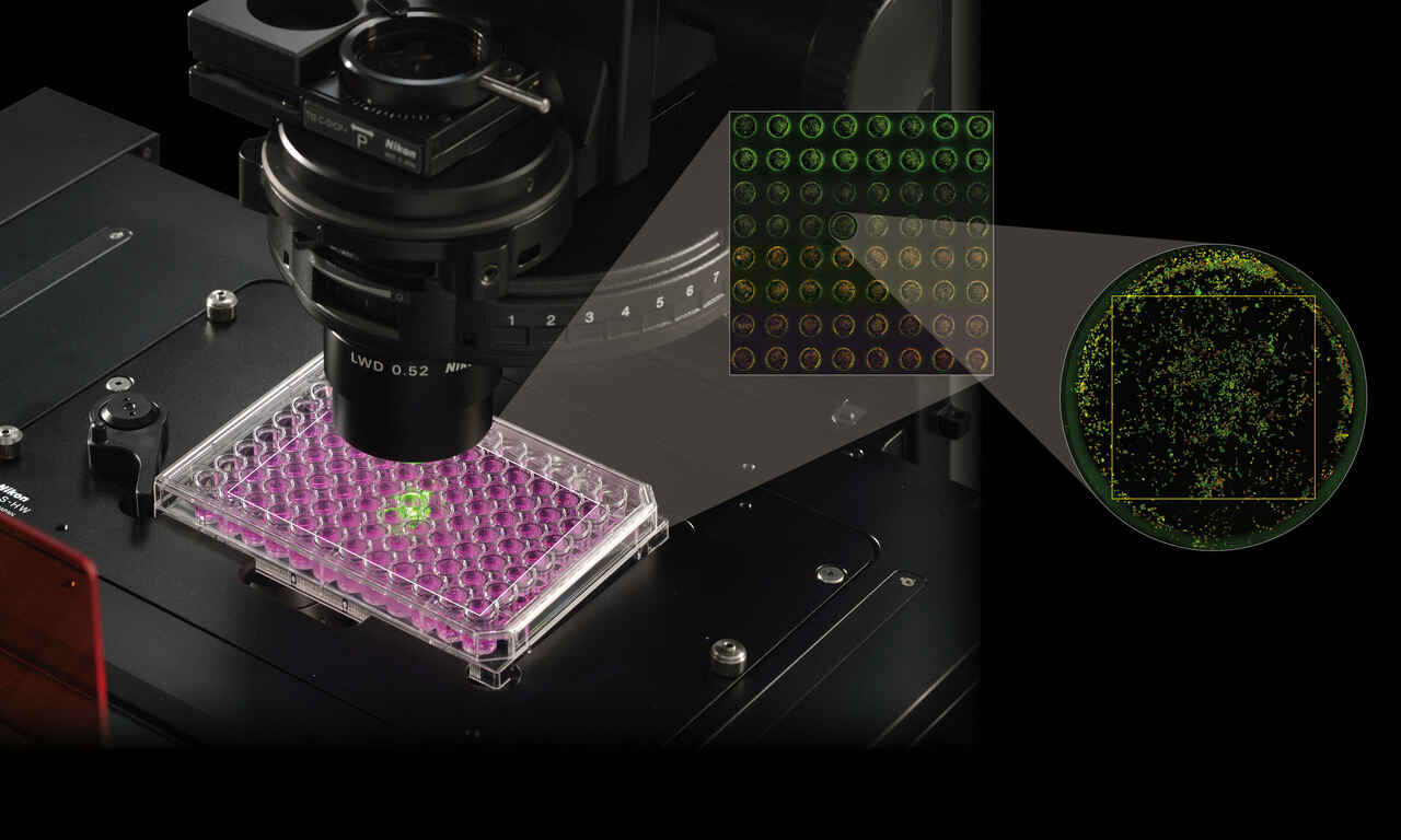 High Throughput Imaging | Life Sciences | Solutions | Nikon Instruments ...
