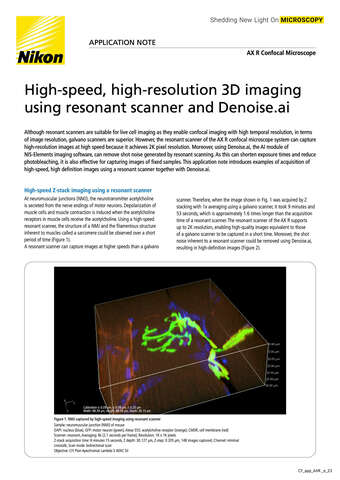 Application Notes | AX / AX R with NSPARC | Confocal and Multiphoton ...