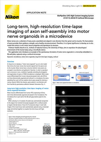 Application Notes | AX / AX R with NSPARC | Confocal and Multiphoton ...