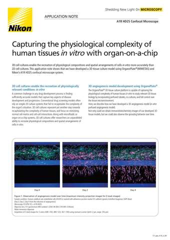 Application Notes | A1 HD25 / A1R HD25 | Confocal and Multiphoton ...