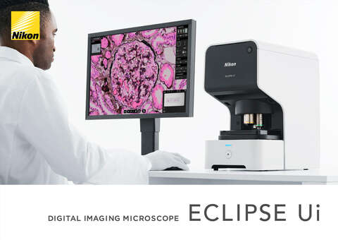Digital Microscopes | Microscope Products | Nikon Corporation ...