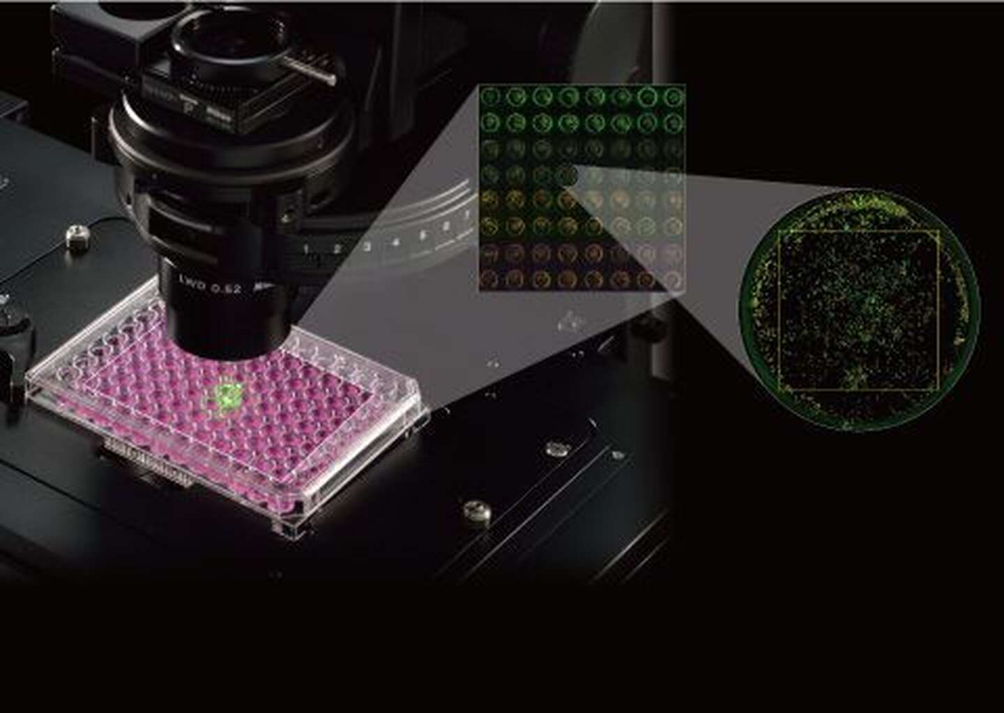 An Inside Look | A1 HD25 / A1R HD25 | Confocal and Multiphoton ...