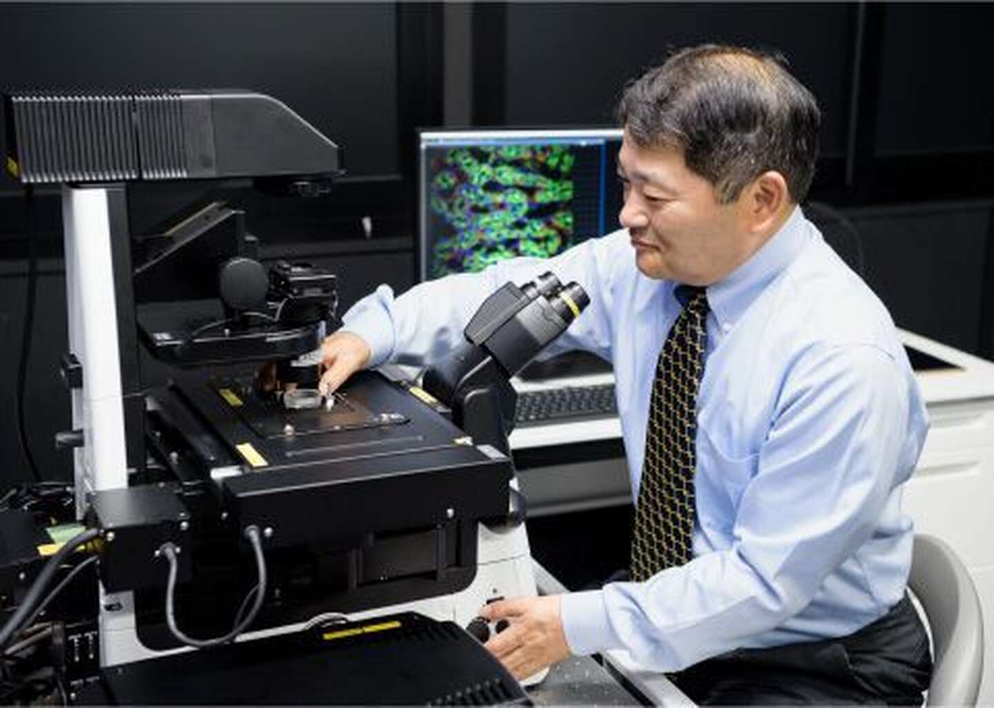 An Inside Look | A1 HD25 / A1R HD25 | Confocal and Multiphoton ...