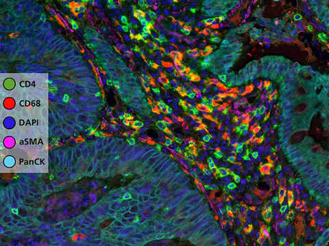 Spatial Biology | Applications | Nikon BioImaging Lab - USA | Nikon ...