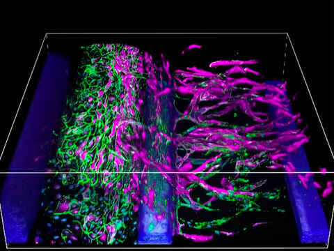 尼康精机（上海）有限公司