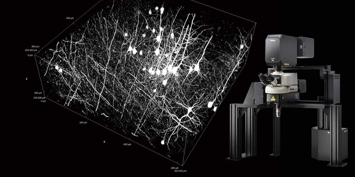 Nikon Instruments Inc.