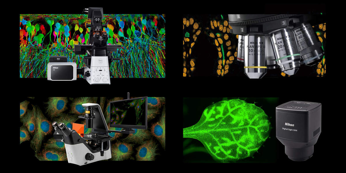 Microscope Systems for Life Science Research & Healthcare | Nikon ...