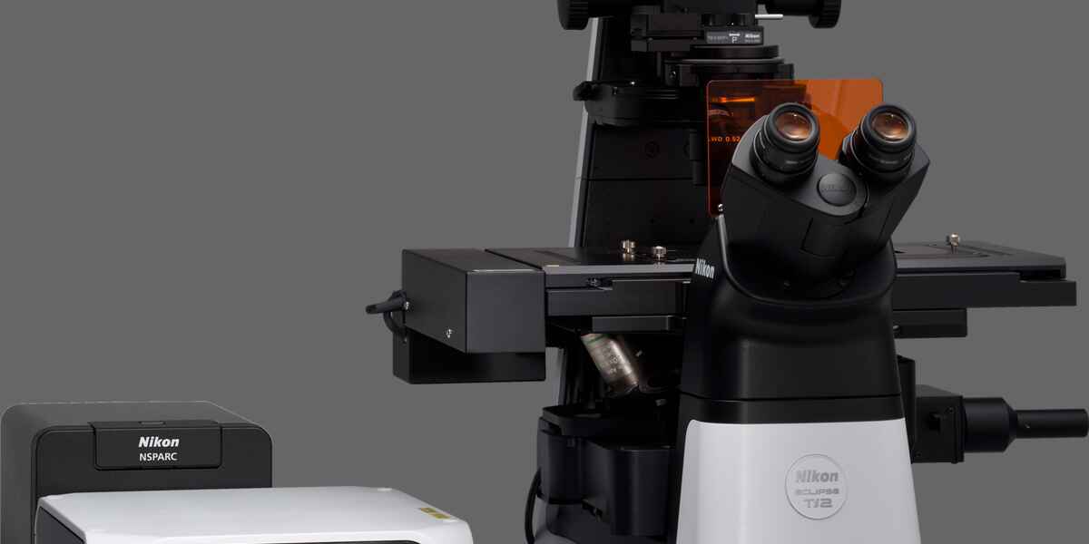 Confocal and Multiphoton Microscopes | Microscope Products | Nikon ...
