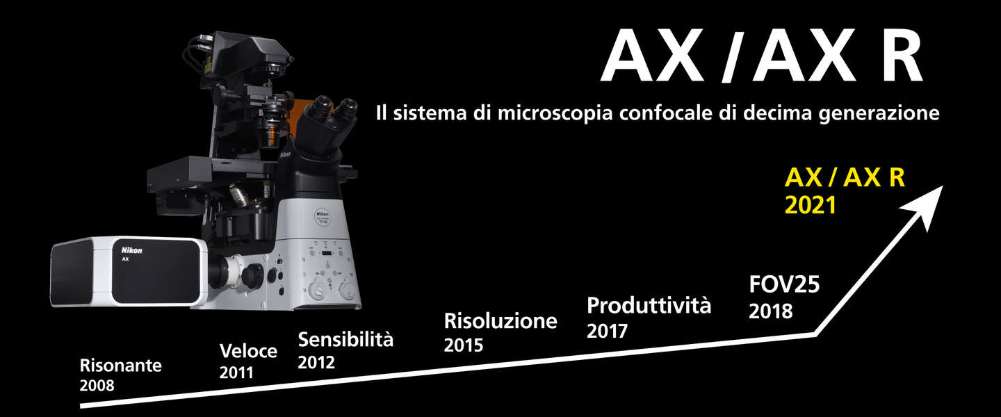 AX / AX R with NSPARC | Microscopi confocali e multifotonici ...