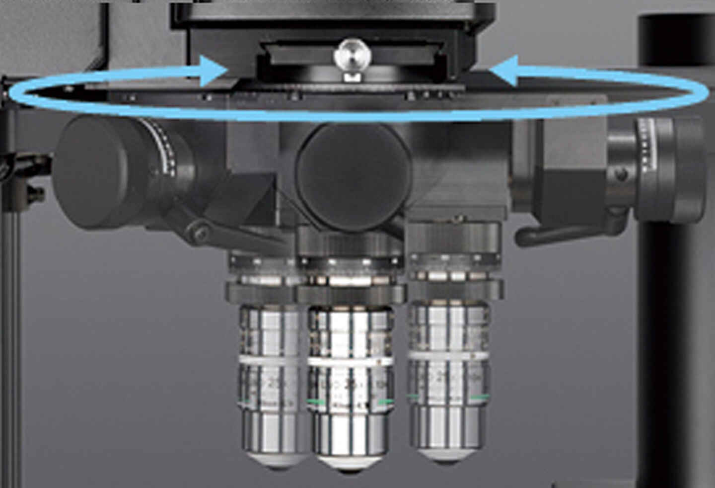 AX R MP with NSPARC | Confocal and Multiphoton Microscopes | Microscope Products | Nikon ...