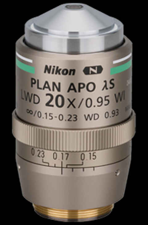 Objectives for Multiphoton Microscopy | AX R MP with NSPARC | Confocal ...