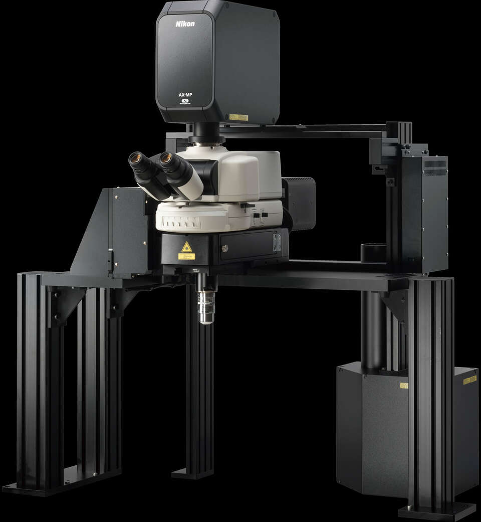 AX R MP with NSPARC | Confocal and Multiphoton Microscopes | Microscope ...