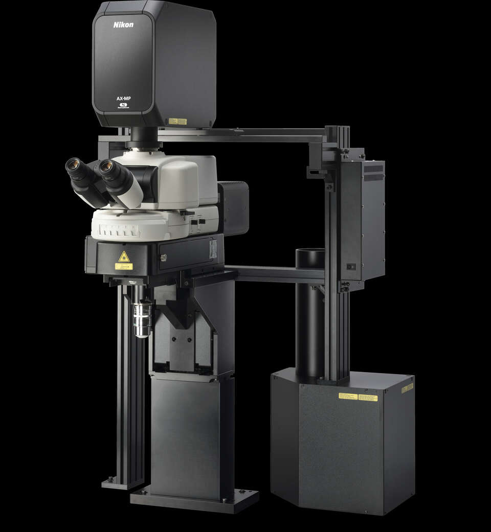 AX R MP with NSPARC | Confocal and Multiphoton Microscopes | Microscope ...