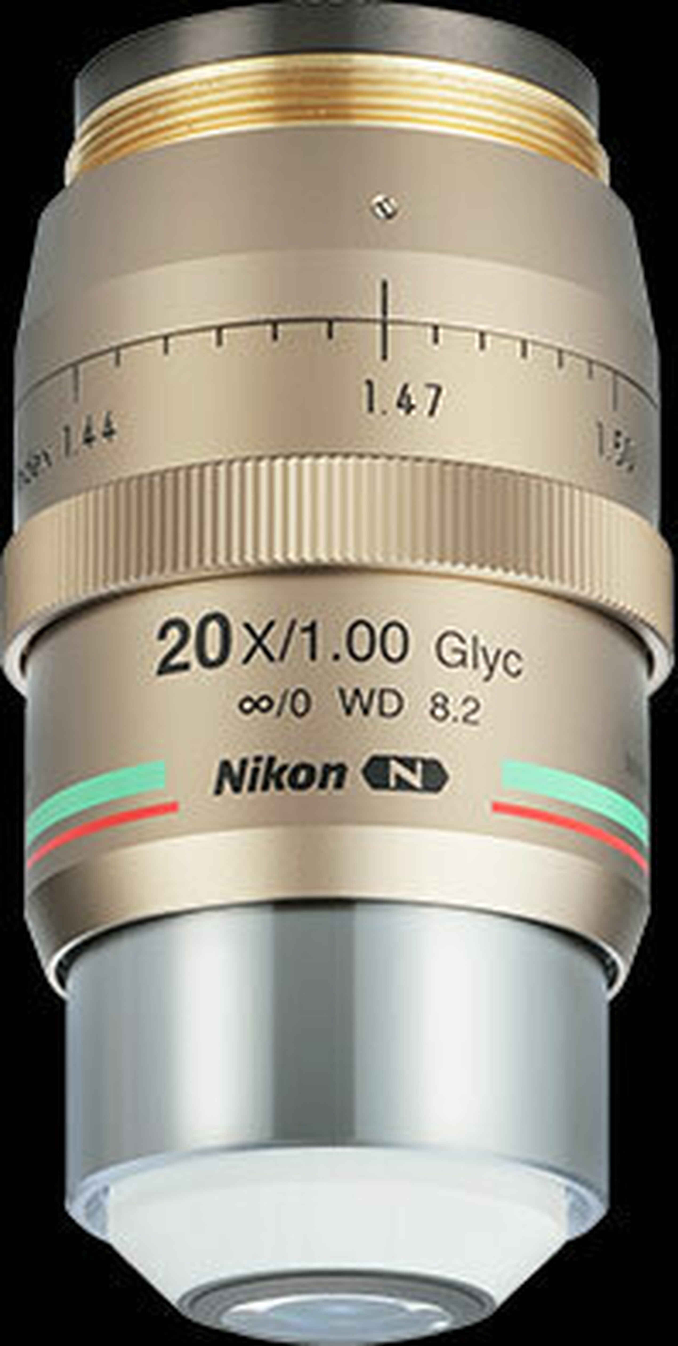 Objectives for Multiphoton Microscopy | AX R MP with NSPARC | Confocal ...