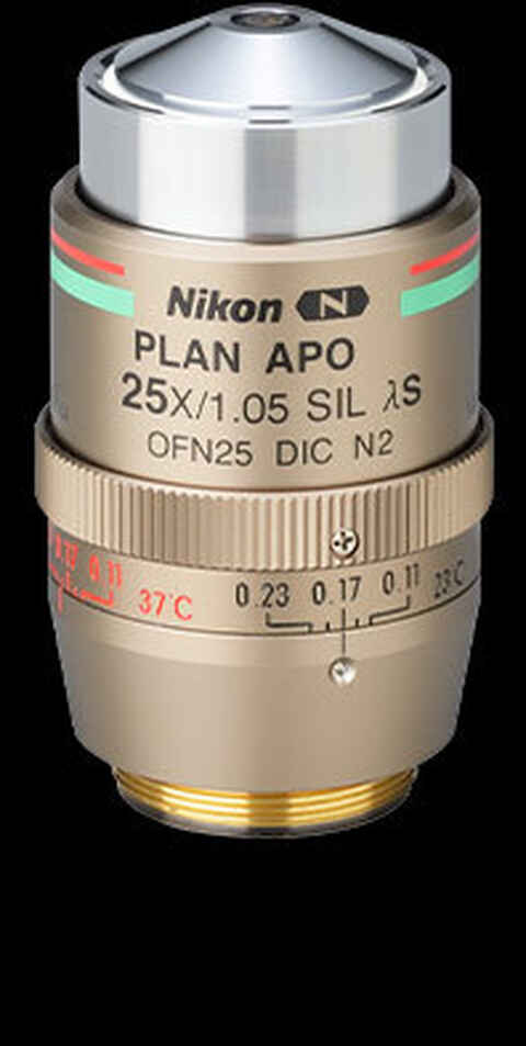 Objectives for Multiphoton Microscopy | AX R MP with NSPARC | Confocal ...