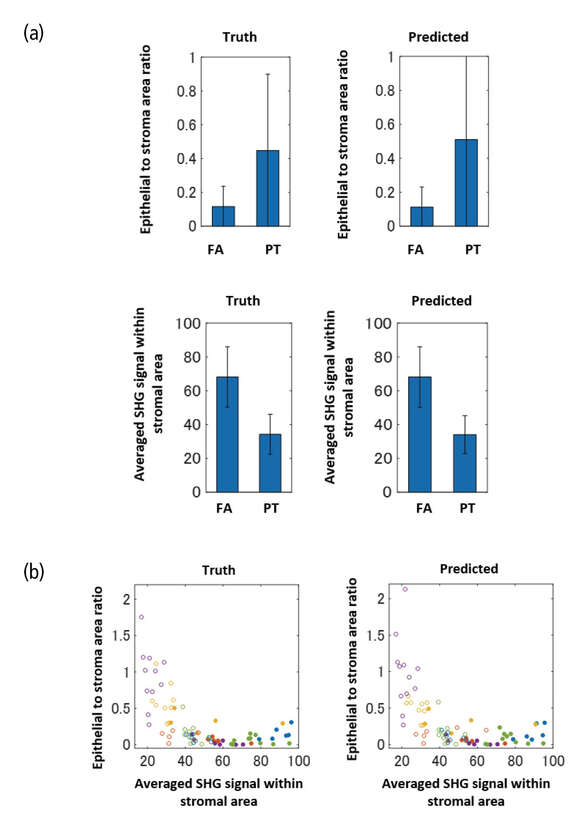 Diagnostic imaging of mixed connective tissue and epithelial tumors of ...