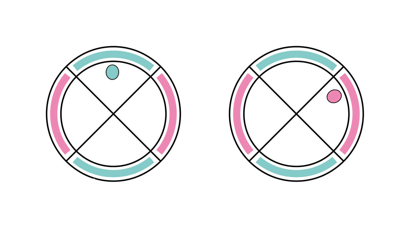 Improvement of ICSI Accuracy by Spindle Visualization | Application ...