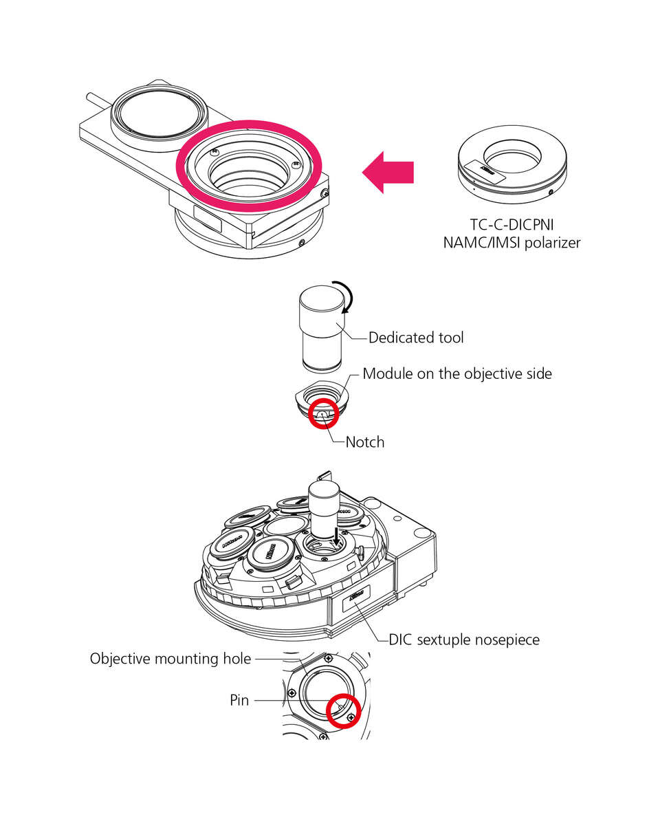 Improvement of ICSI Accuracy by Spindle Visualization | Application ...