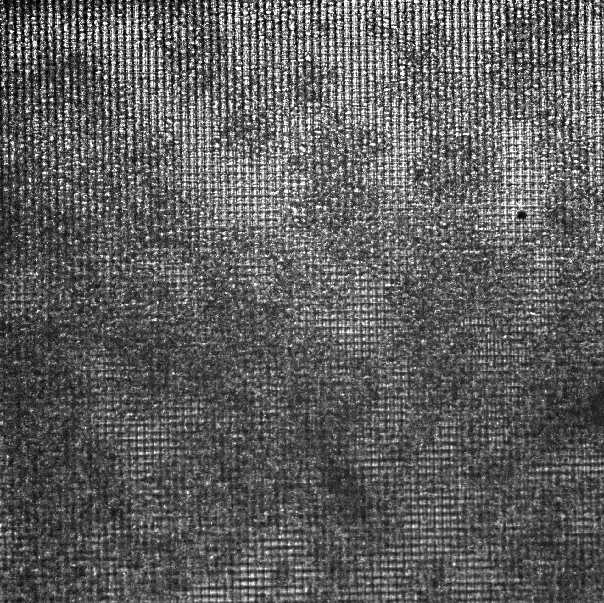 Episcopic brightfield imaging of neuronal cells on high-density ...