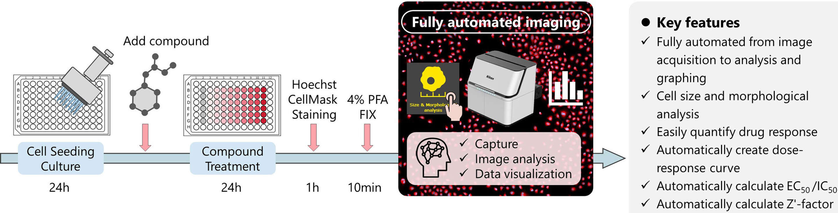 Cell size and morphological analysis is easier and more comfortable with the fully automated ...