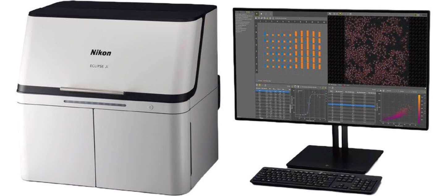 Analysis Of Nuclear Translocation Using Ai Driven Fully Automated Eclipse Ji Application Notes