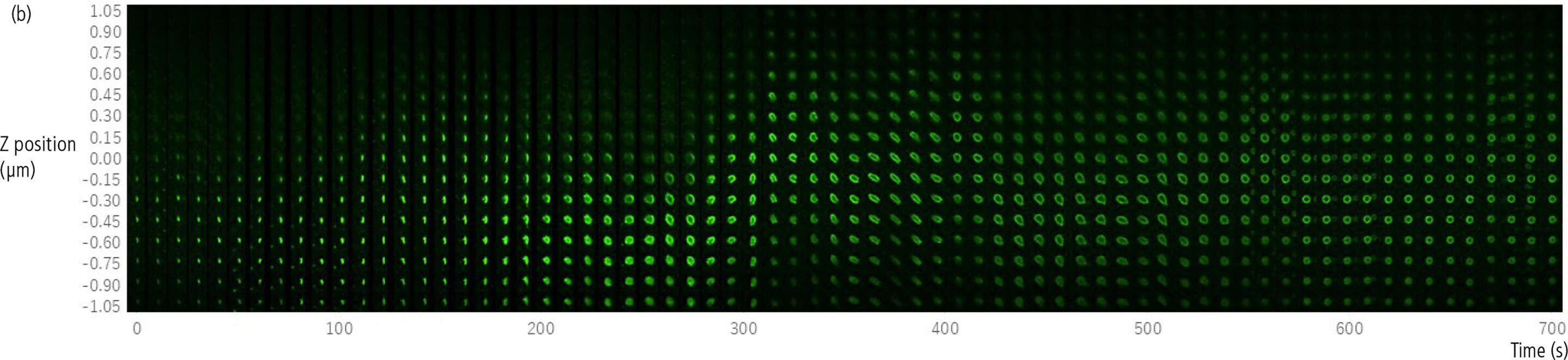 High-sensitivity confocal microscope detector NSPARC enables live ...