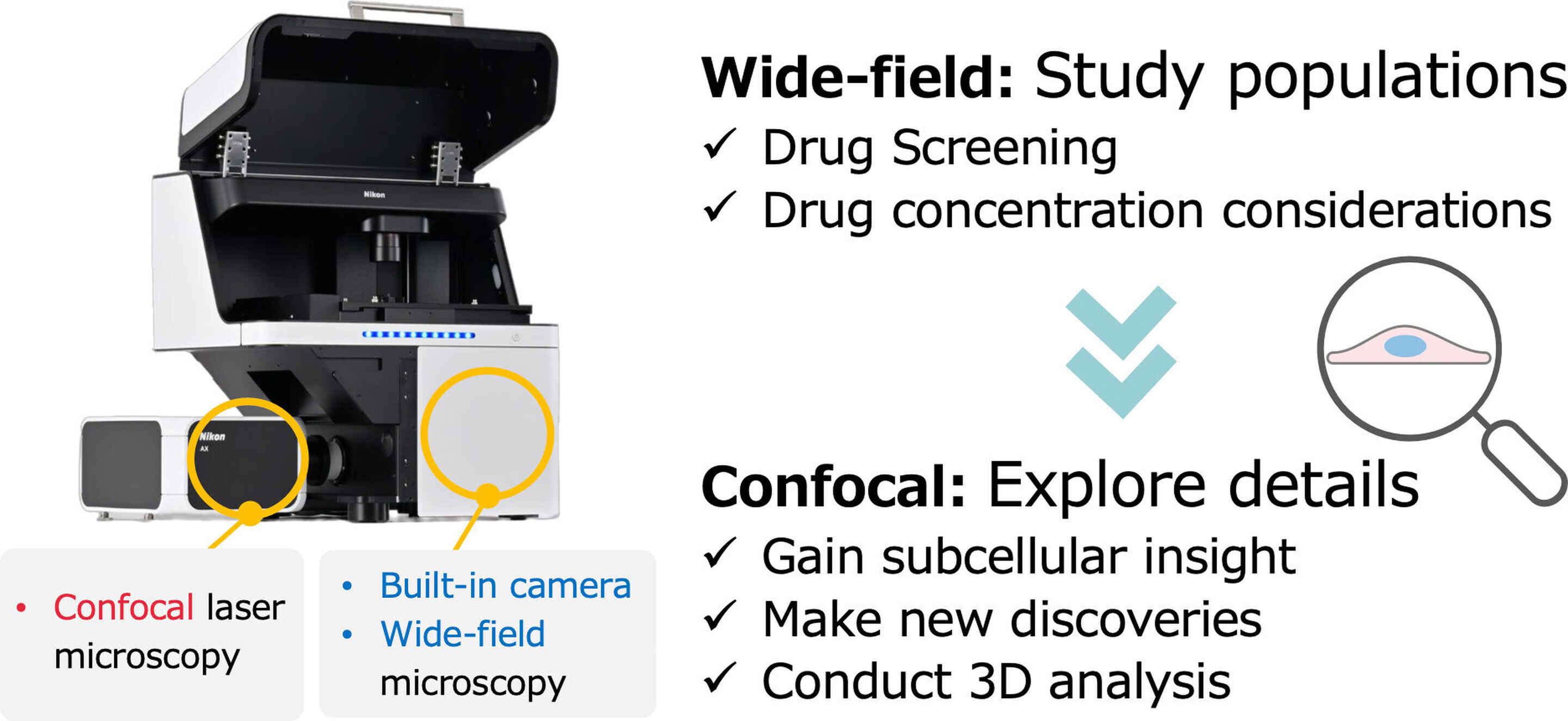 3D image analysis reveals drug-induced cellular senescence and increased nucleolus volume ...
