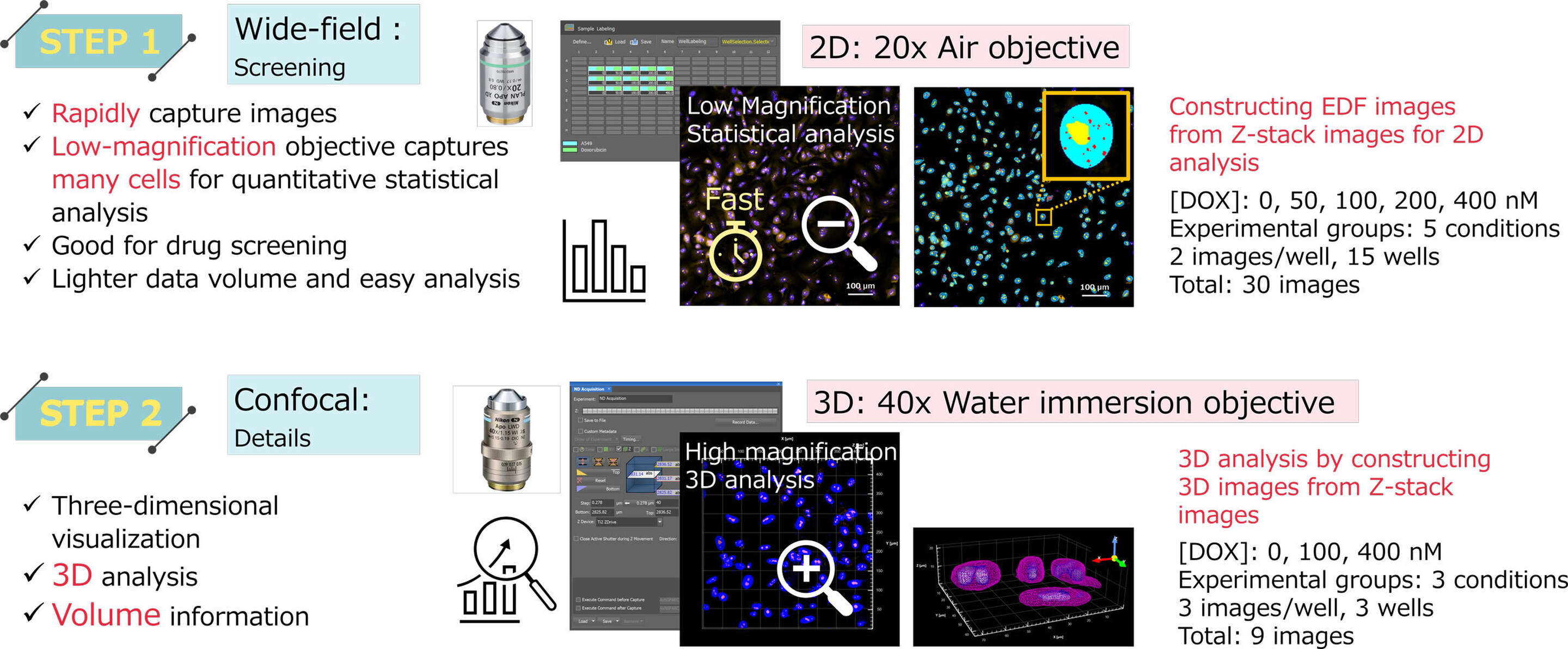 3D image analysis reveals drug-induced cellular senescence and ...