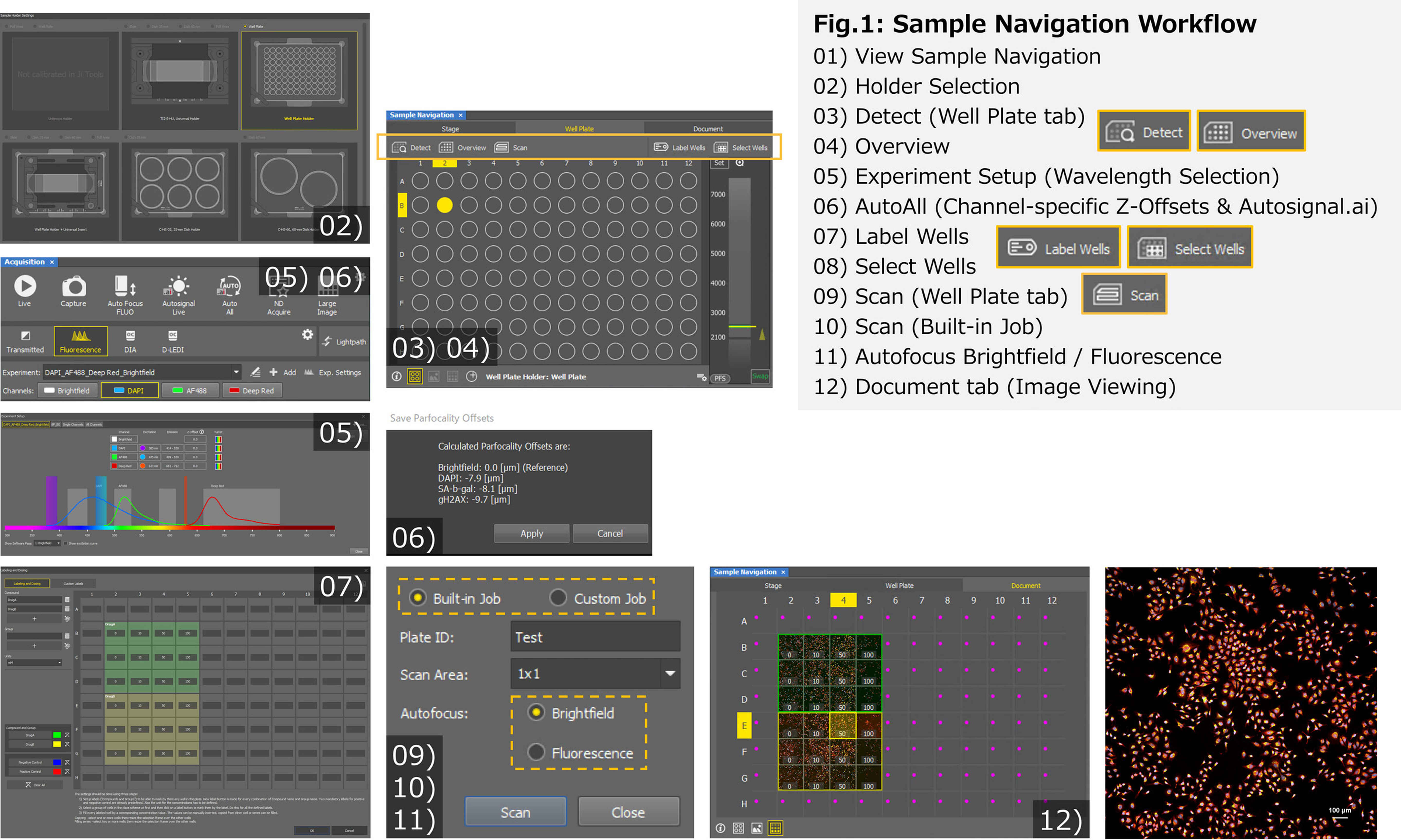 AI-powered “Sample Navigation” simplifies image acquisition! Improved ...