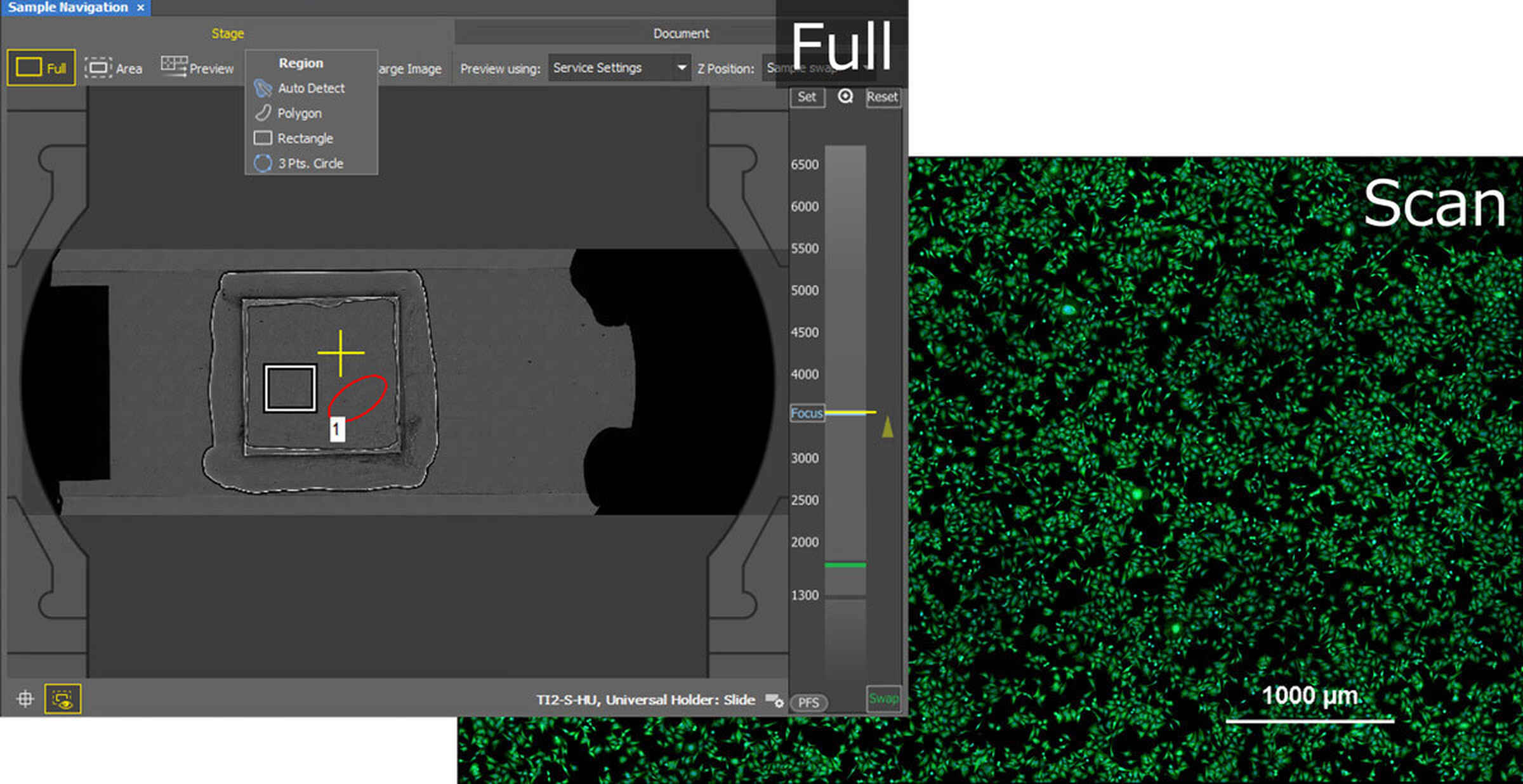 AI-powered “Sample Navigation” simplifies image acquisition! Improved ...
