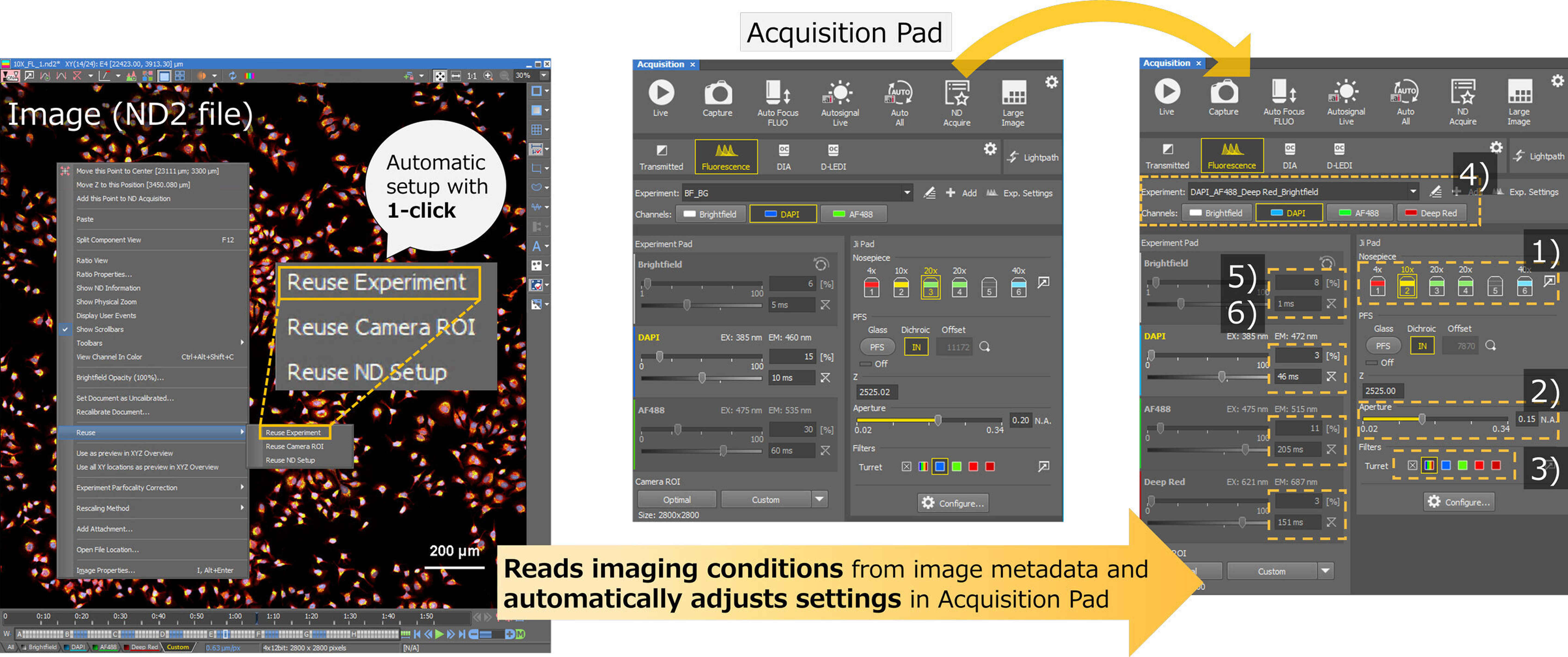 AI-powered “Sample Navigation” simplifies image acquisition! Improved ...