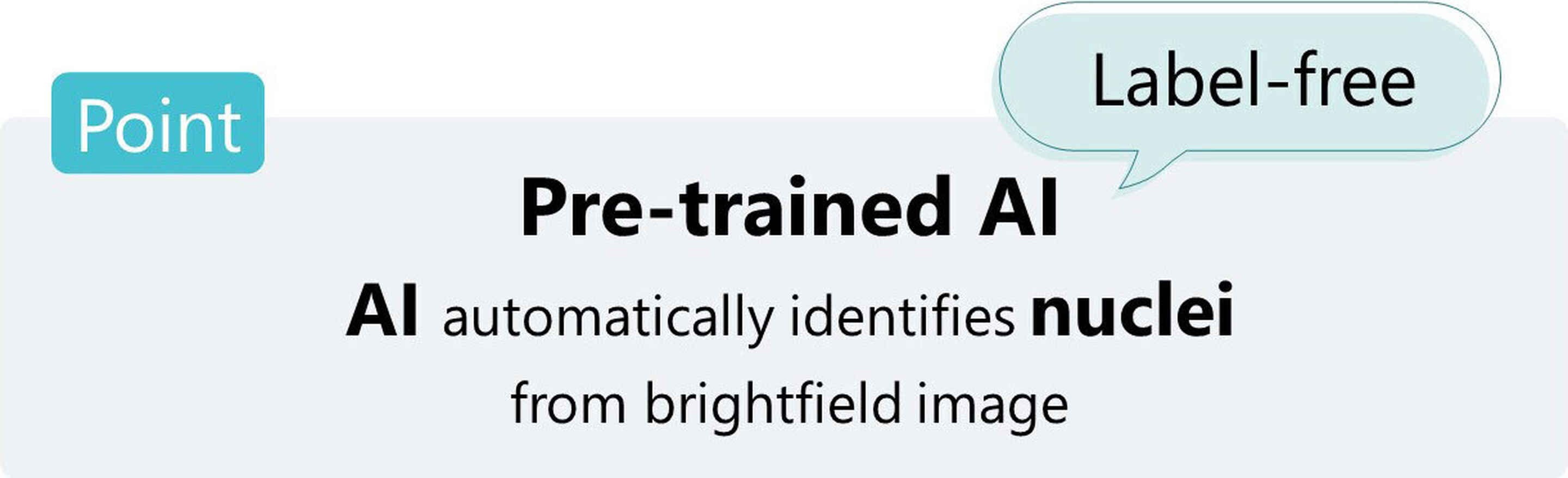 Label Free Cell Counting Using Ai Driven Fully Automated Smart Imaging System Eclipse Ji