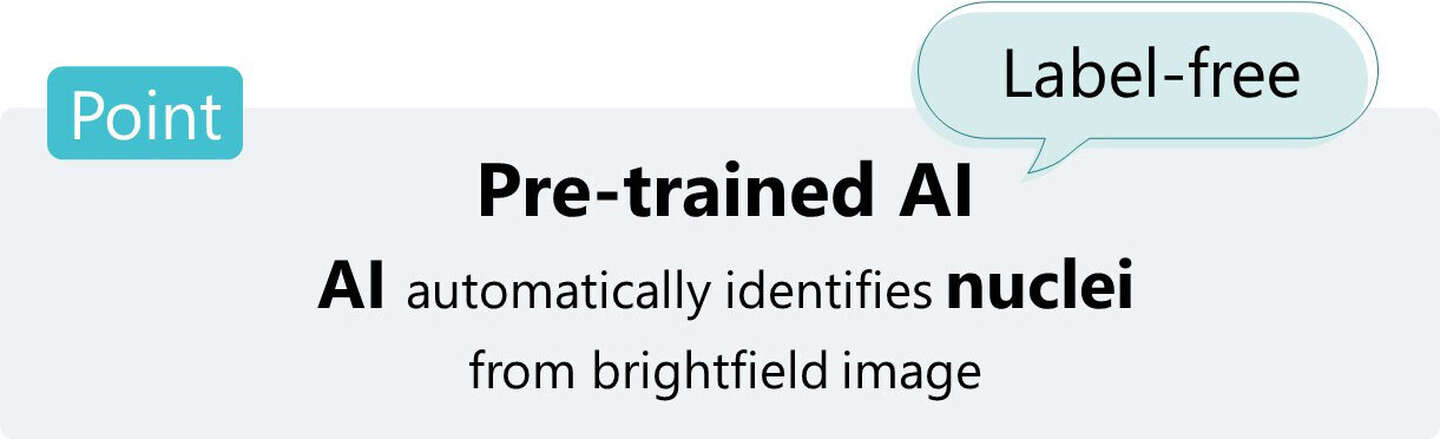 Label Free Cell Counting Using Ai Driven Fully Automated Smart Imaging System Eclipse Ji Notas
