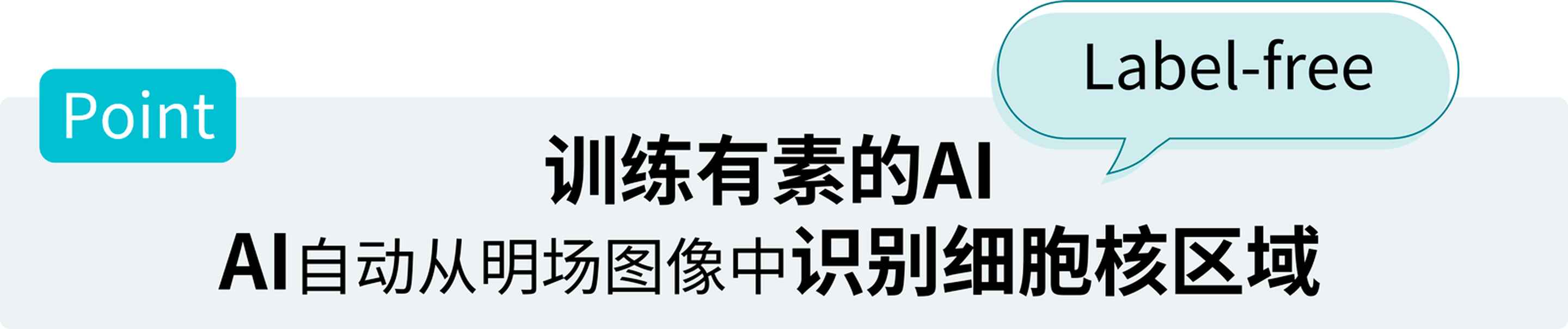 使用AI-Driven全自动智能成像系统ECLIPSE Ji 进行的无标记细胞计数 | 应用手册 | 资料 | 尼康精机（上海）有限公司