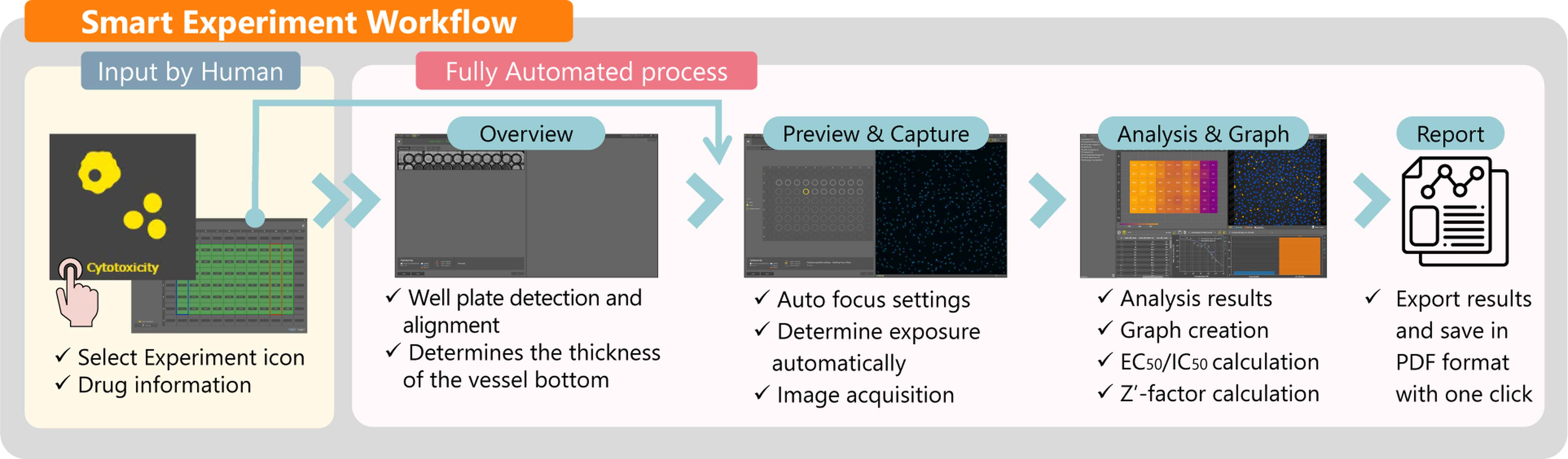 Cytotoxicity Assay Using Ai Driven Fully Automated Eclipse Ji Application Notes Resources