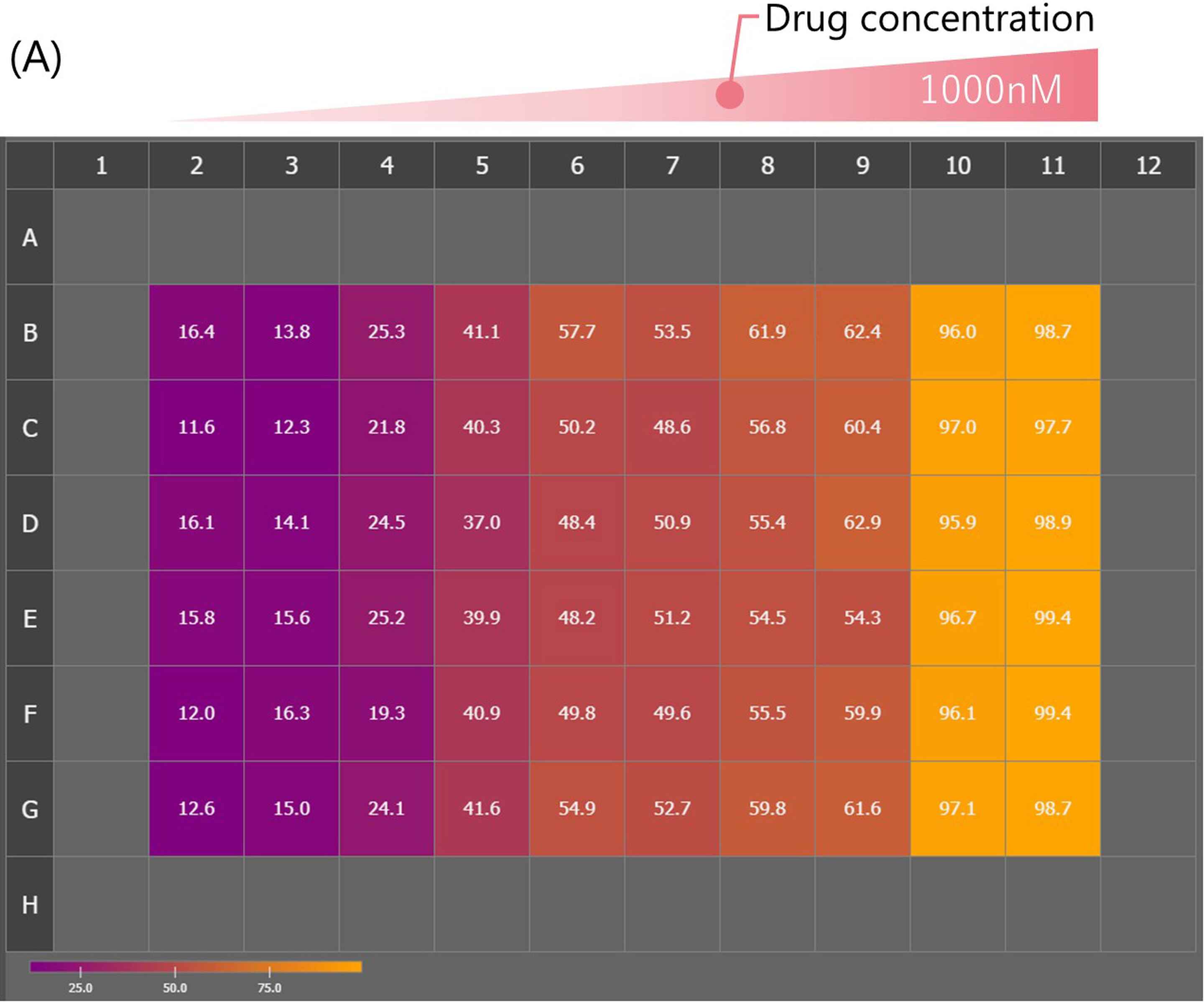 Cytotoxicity Assay Using Ai Driven Fully Automated Eclipse Ji Application Notes 정보・자료 니콘