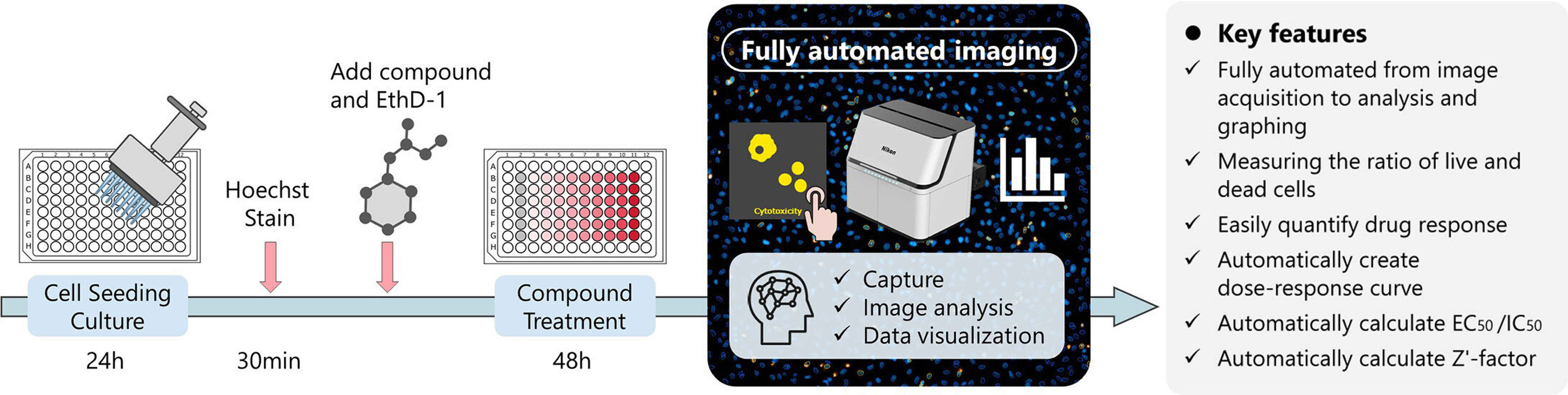 Cytotoxicity Assay Using Ai Driven Fully Automated Eclipse Ji Application Notes Resources