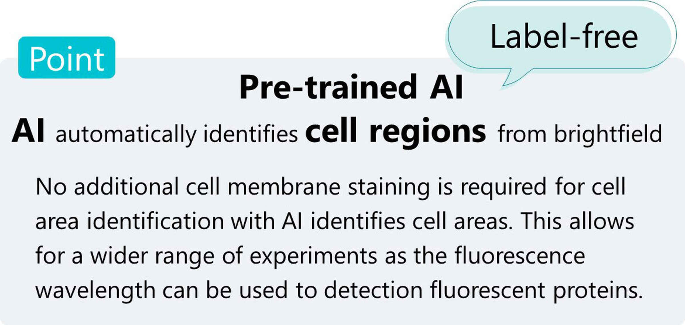 Pre-trained AI-powered label-free detection of cell regions from ...