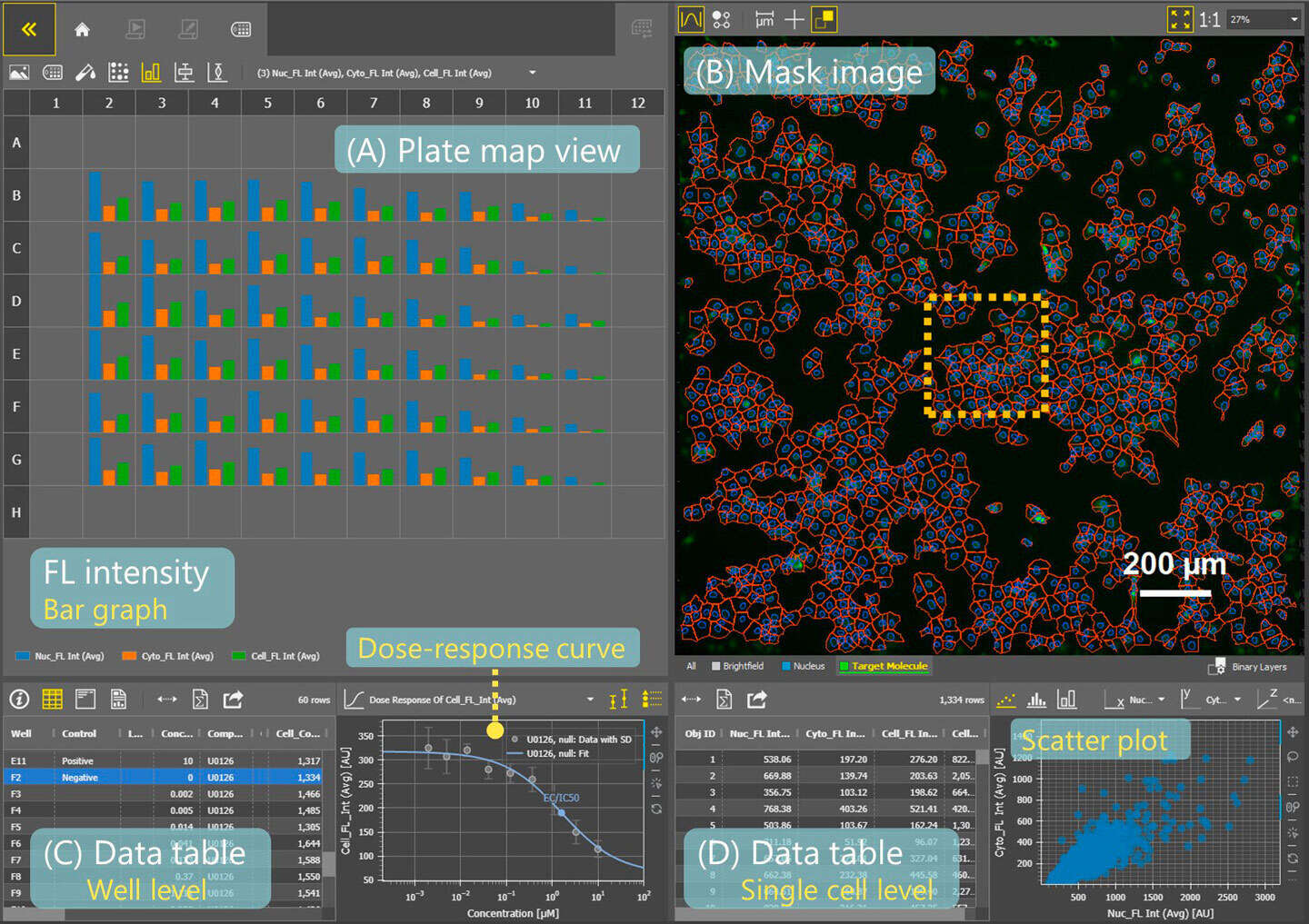 Pre-trained AI-powered label-free detection of cell regions from ...