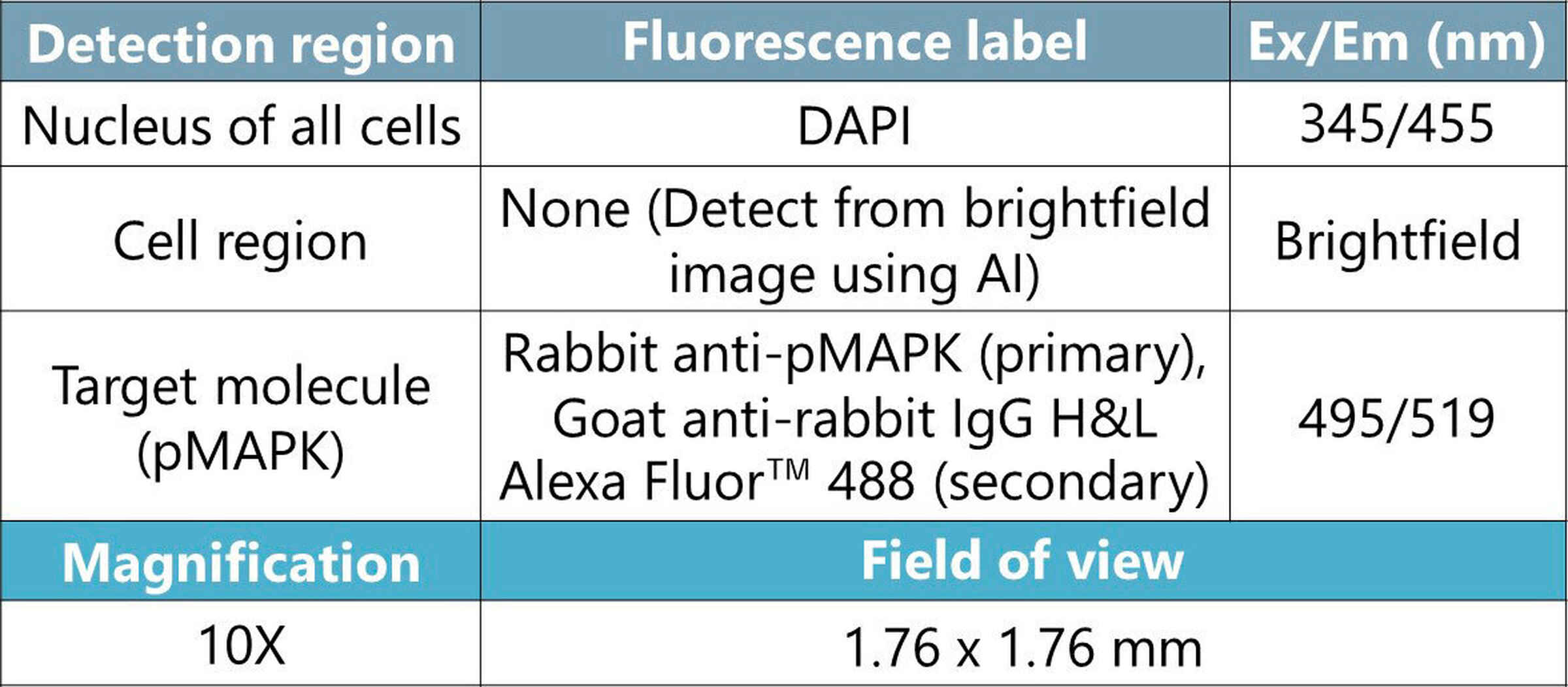 Pre-trained AI-powered label-free detection of cell regions from ...