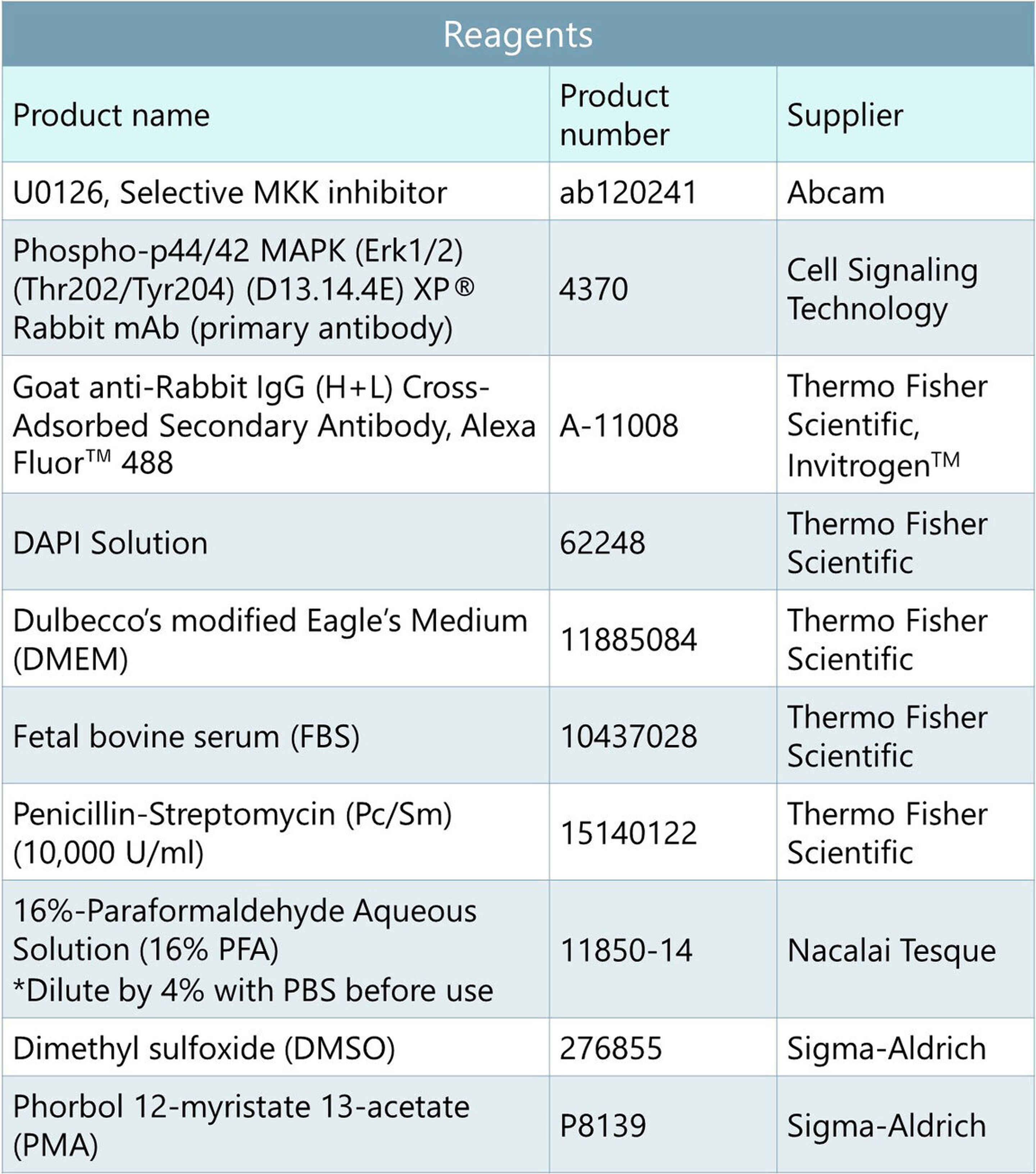 Pre-trained AI-powered label-free detection of cell regions from ...