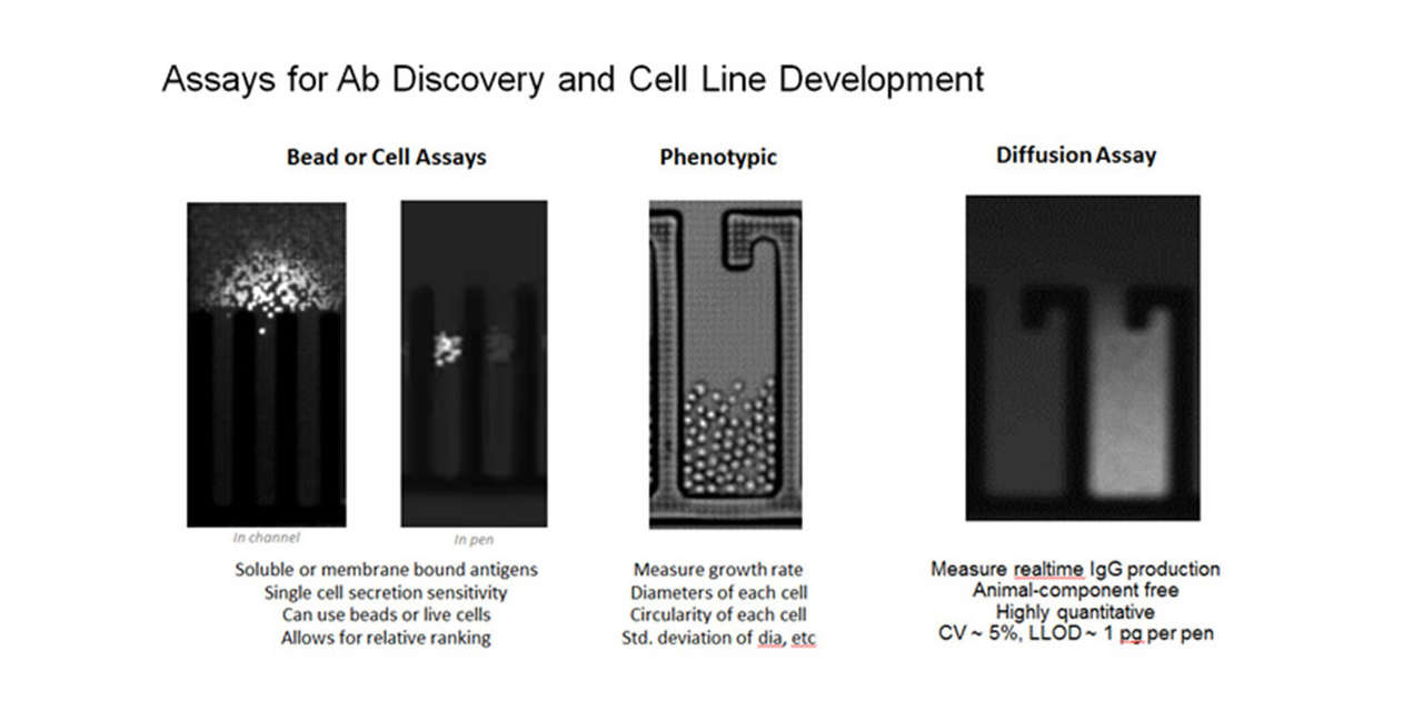Beacon | 細胞スクリーニング | 製品・サービス | 株式会社ニコンソリューションズ