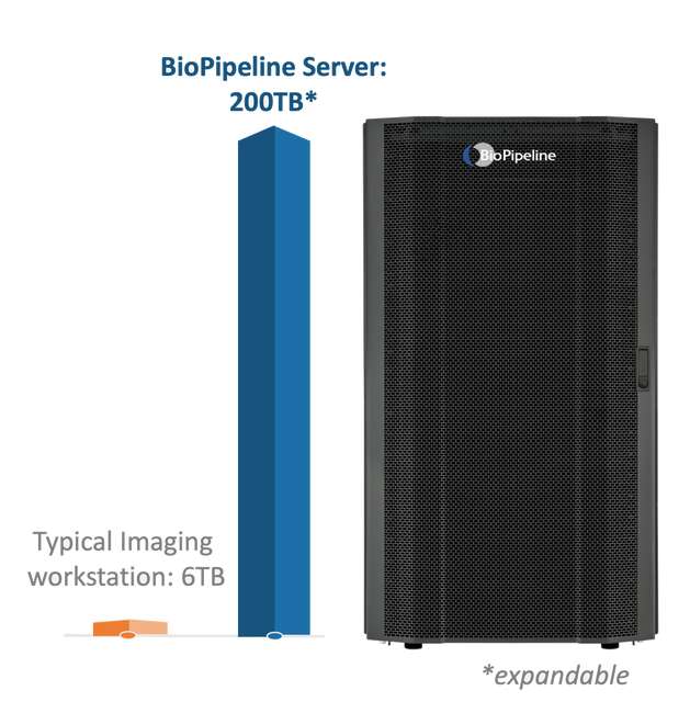 BioPipeline LIVE | High Content Imaging | Microscope Products | Nikon ...