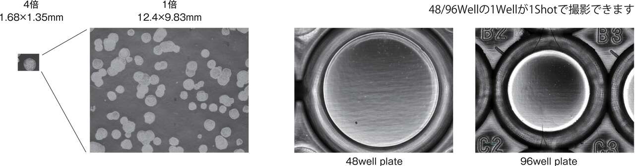 BioStudio-mw | 細胞スクリーニング | 製品・サービス | 株式会社ニコンソリューションズ