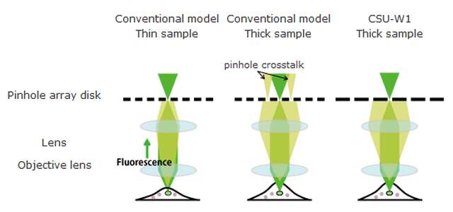 CSU-W1 | Yokogawa CSU Series | Confocal and Multiphoton Microscopes ...